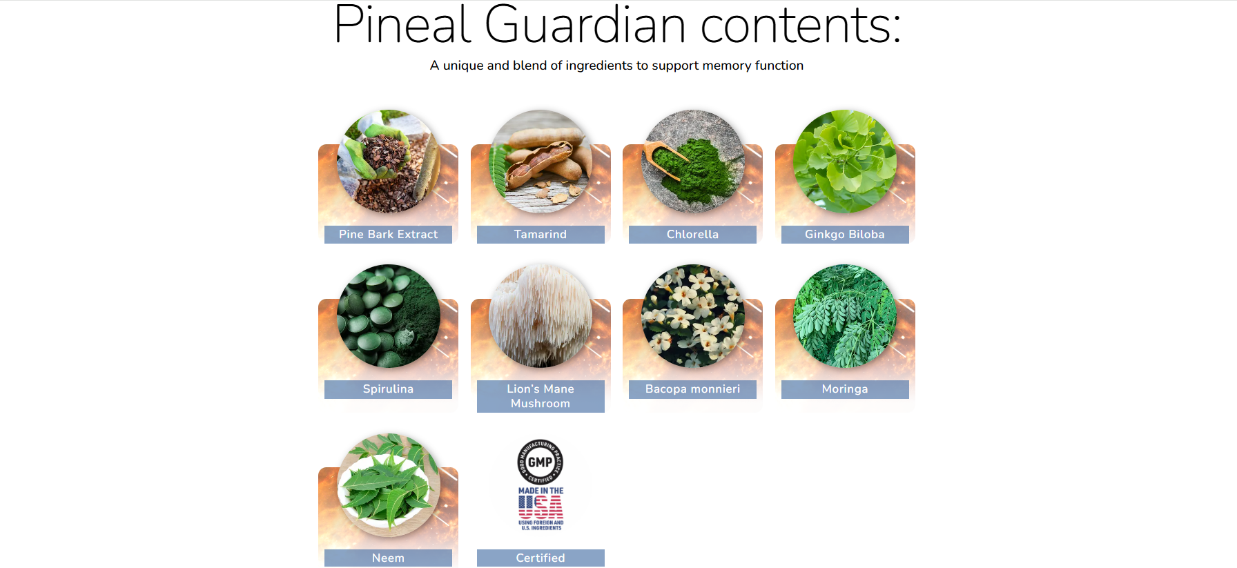The Pineal Guardian Review 2025 -Learn all about it!